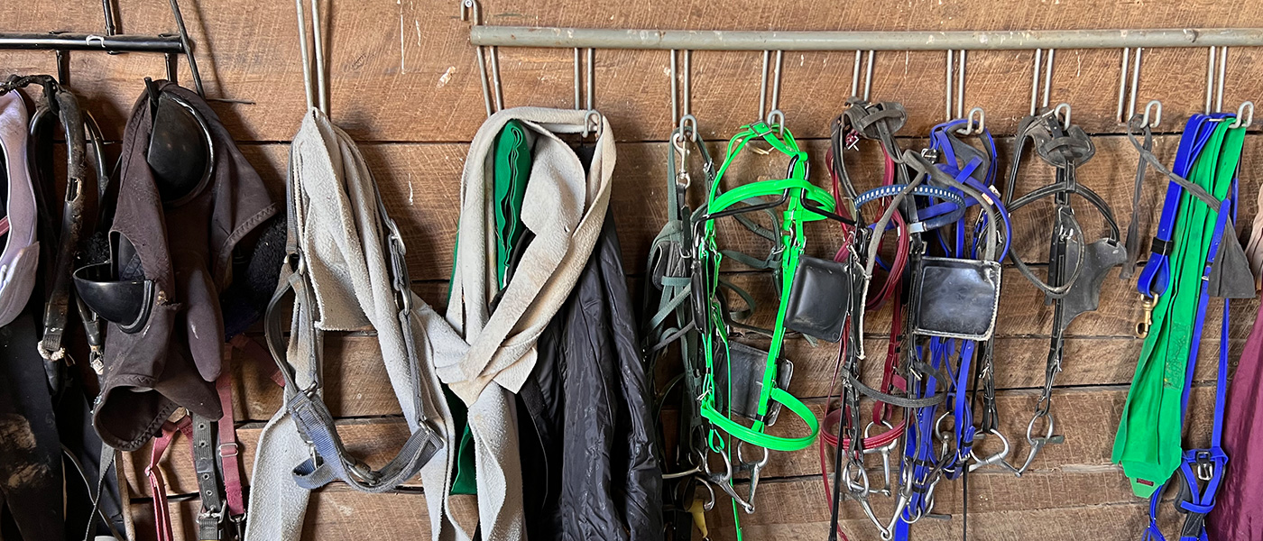 My Fair Tickets | Online Ticketing Solutions for County & State Fairs